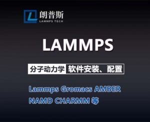 Lammps软件安装配置服务 – 石家庄朗普斯科技有限公司